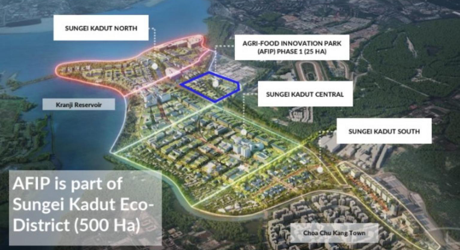 Satellite images support JTC timeline for destroyed Kranji woodland ...