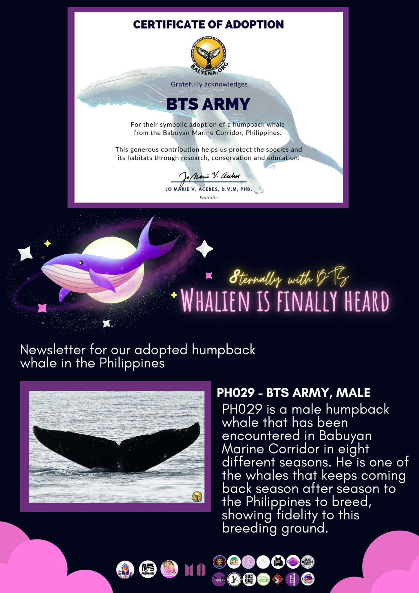 Pinoy BTS ARMY groups adopt 8 humpback whales in boy band's name | Coconuts