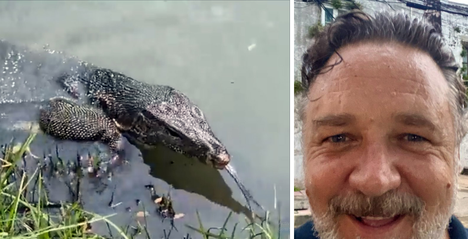 Russell Crowe declares giant Bangkok lizard his ‘new buddy’ | Coconuts