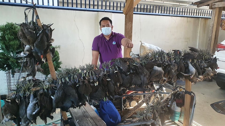 189 native birds rescued from market in Bulacan | Coconuts