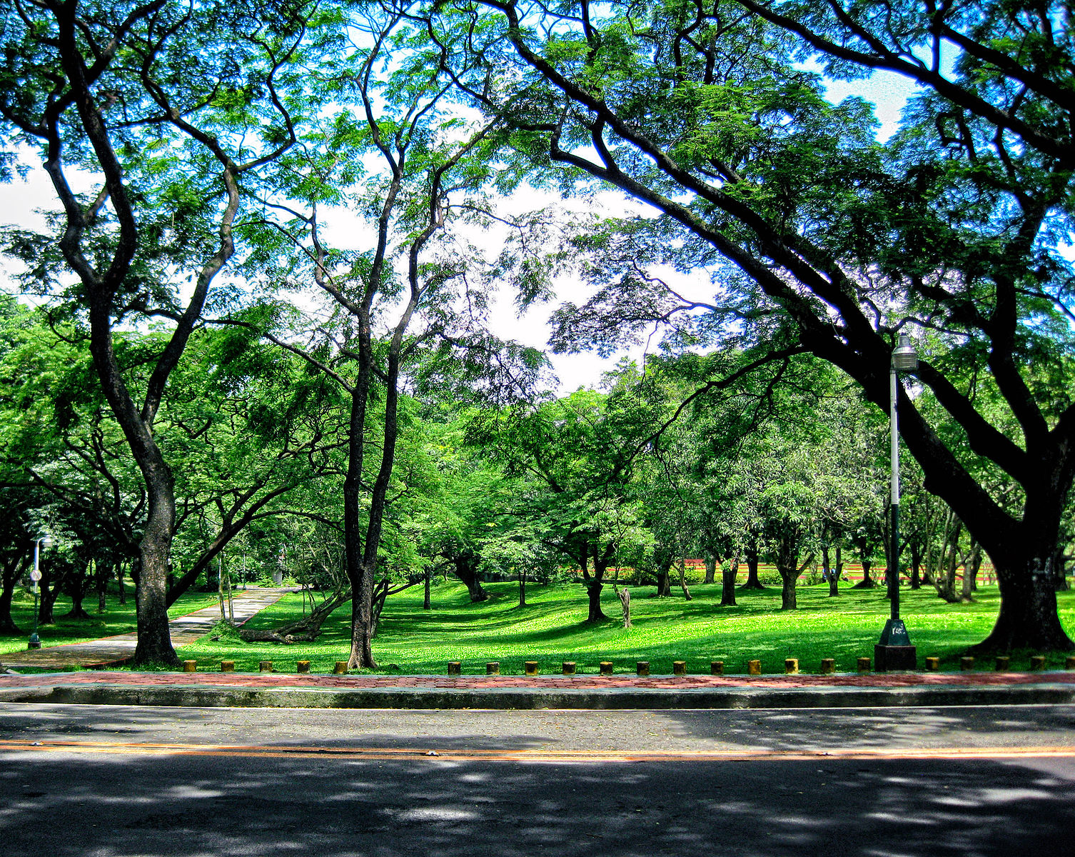 UP Diliman's Academic Oval reopens for joggers | Coconuts