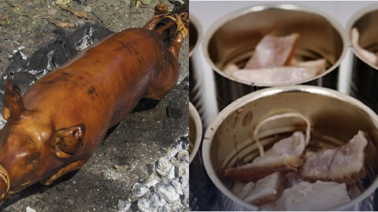 Lechon as calamity food? Food tech scientists turn this festive dish ...