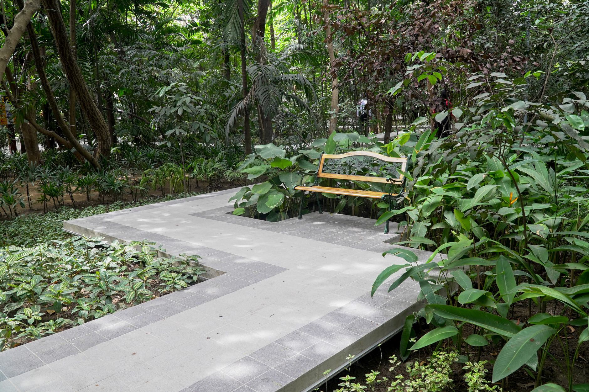 Manila's Arroceros Forest Park gets a facelift | Coconuts