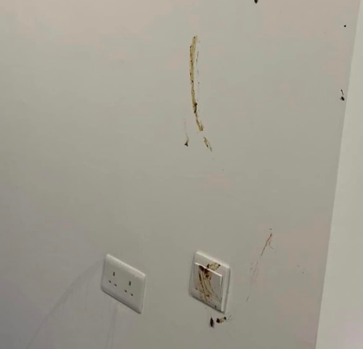 Oh shit: Pics of poop smeared all over COVID-19 isolation facility draw ...