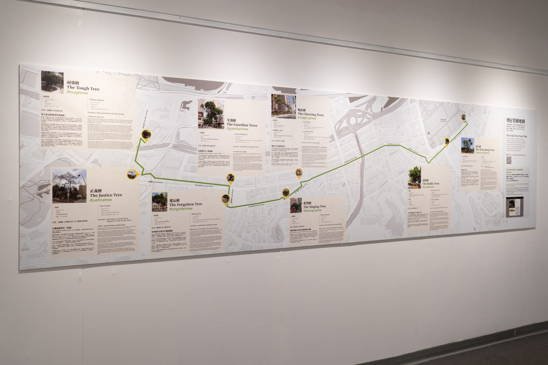 Hong Kong researcher casts light on stories of Wan Chai’s street trees ...