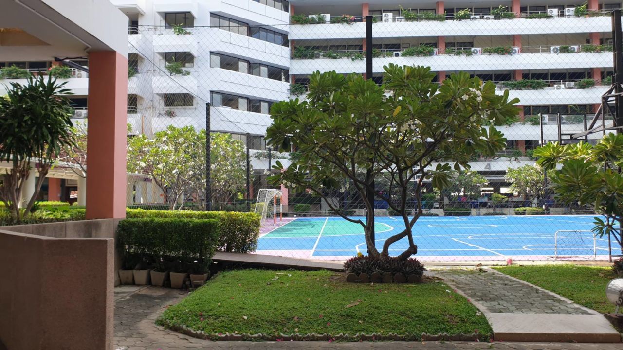 Here’s how to get a license to sell weed in Bangkok | Coconuts