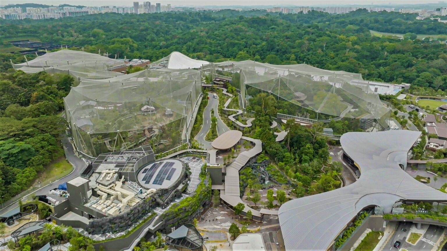 Bird up! Singapore Bird Paradise to welcome visitors in May | Coconuts