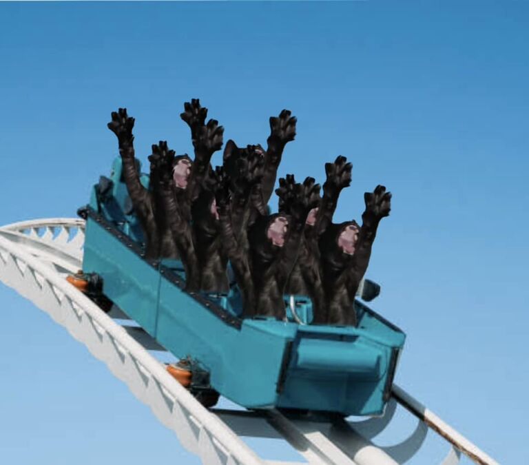 Filipino cat lovers had fun editing this kitty into the funniest photos ...