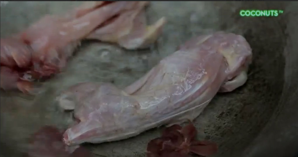 Freaky Feast: Field rats cooked adobo style | Coconuts Manila