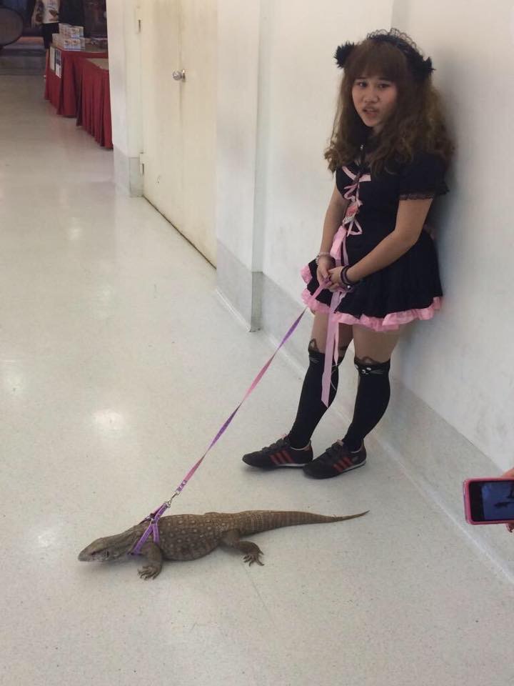 Hee-ya! Bangkok takes her lizard out for a walk (PHOTOS)
