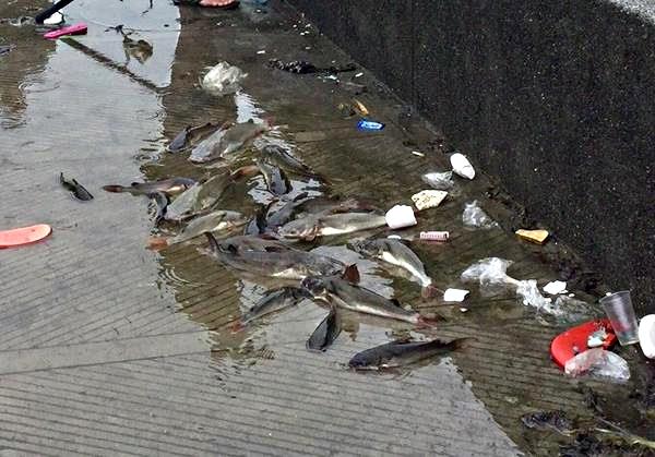 Snapshot: Fishing at Manila Bay | Coconuts