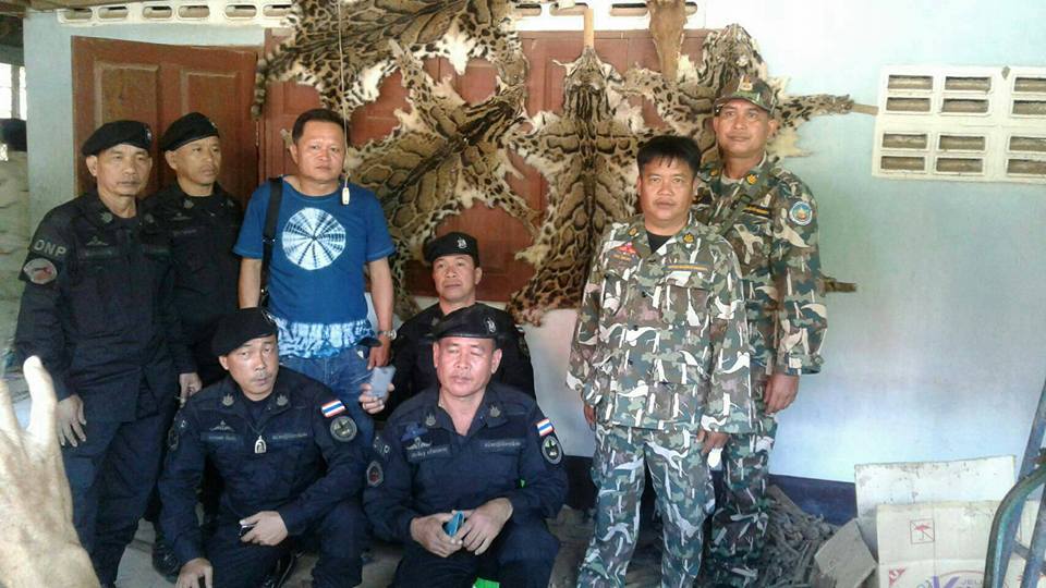 Teenage Tiger Trader: Teen girl arrested for selling illegal animal ...