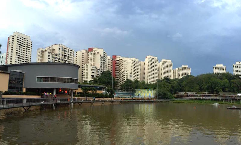 'Walk on water' at the newly-revamped Pang Sua Pond wetland park in ...