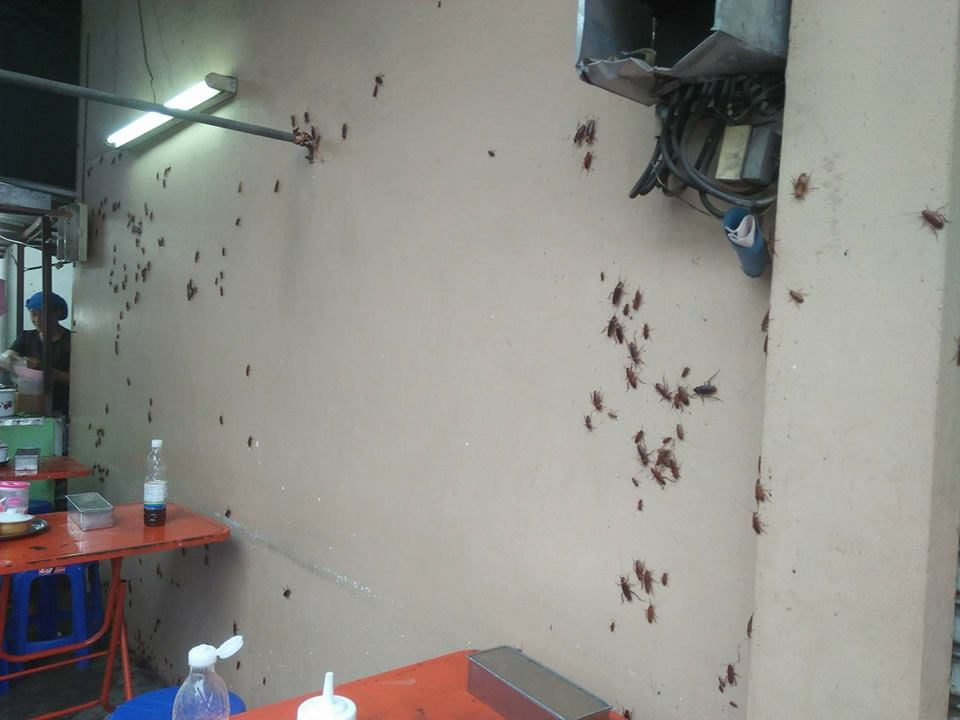 Lunch Bunch: Thai woman shares viral photos of her lunch surrounded by ...